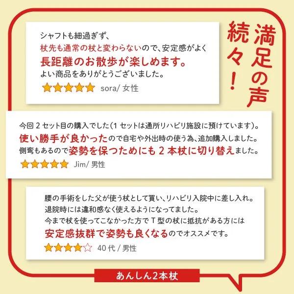 SINANO シナノ あんしん2本杖 2本1組 / 650192 ブラウン : ビンゴケアストア - 通販 - Yahoo!ショッピング