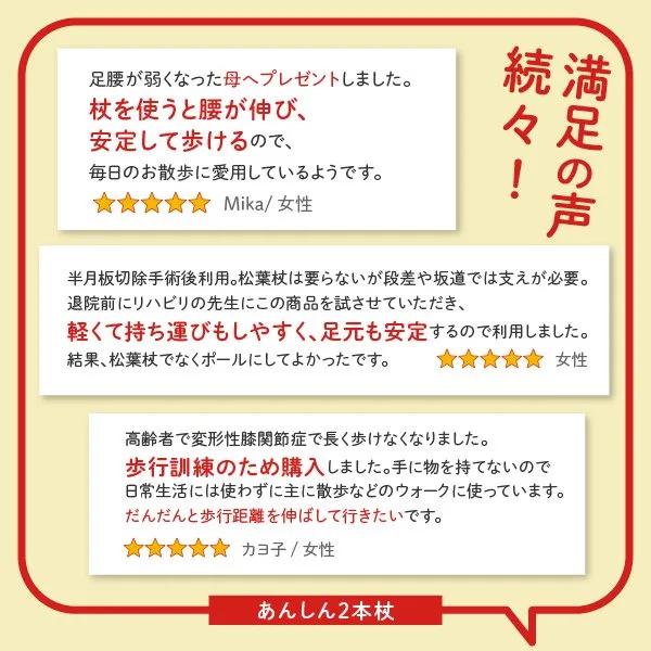 SINANO シナノ あんしん2本杖 2本1組 / 650192 ブラウン : ビンゴケアストア - 通販 - Yahoo!ショッピング