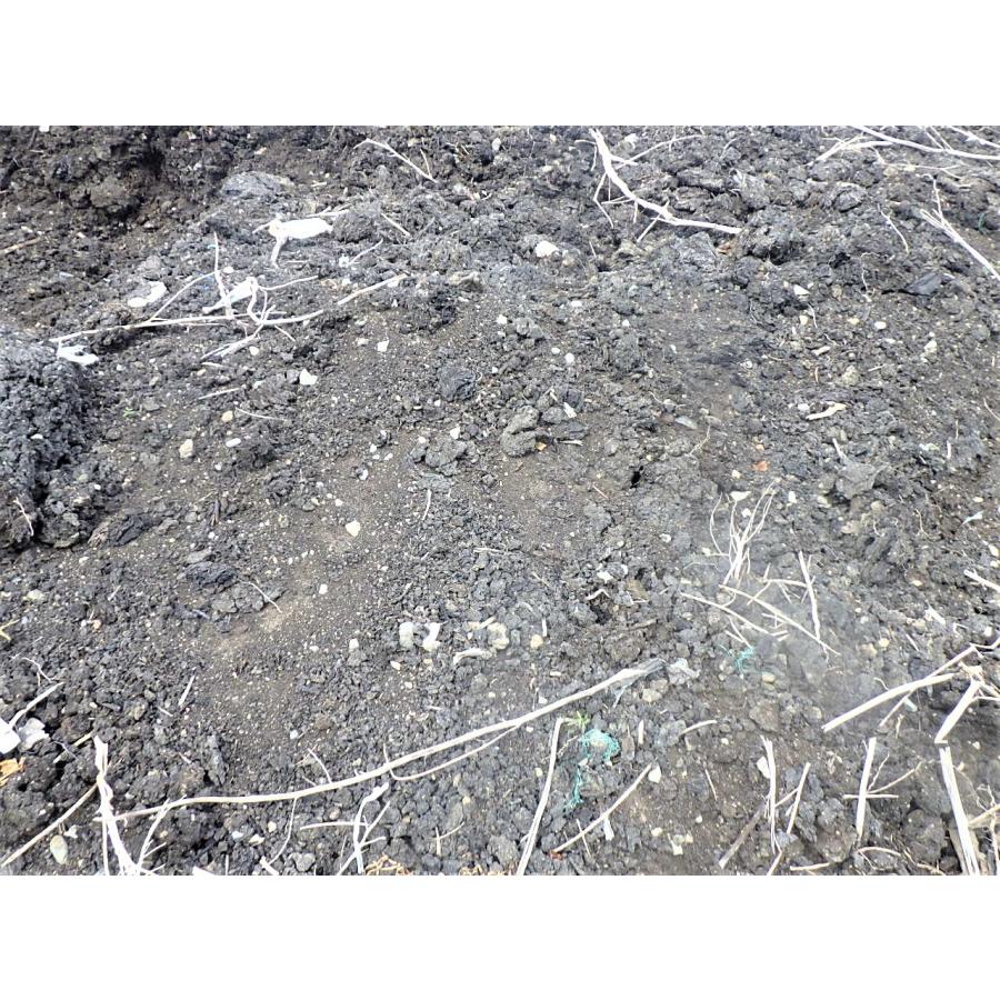 牛糞発酵促進剤 悪臭分解 堆肥発酵菌 肥料土壌改良剤 BJC-HKGF【内容量：10L】 : バイオクリーンショップ - 通販 - Yahoo!ショッピング