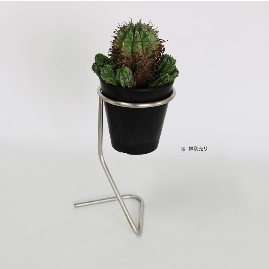 植木鉢スタンド ステンレススタンド12 フラワースタンド ポットスタンド 鉢台 高さ25cm : ガーデニング日和 - 通販 - Yahoo!ショッピング