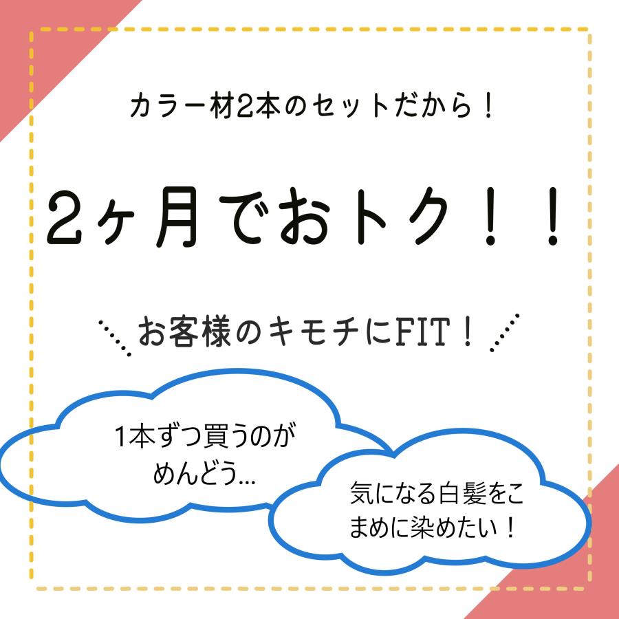 ORDEVE 【最安値】オルディーブ ボーテ 80g カラー剤 2本 オキシ 130ml セット ミルボン 白髪染め ヘアカラー : 美容専売fit - 通販 - Yahoo!ショッピング