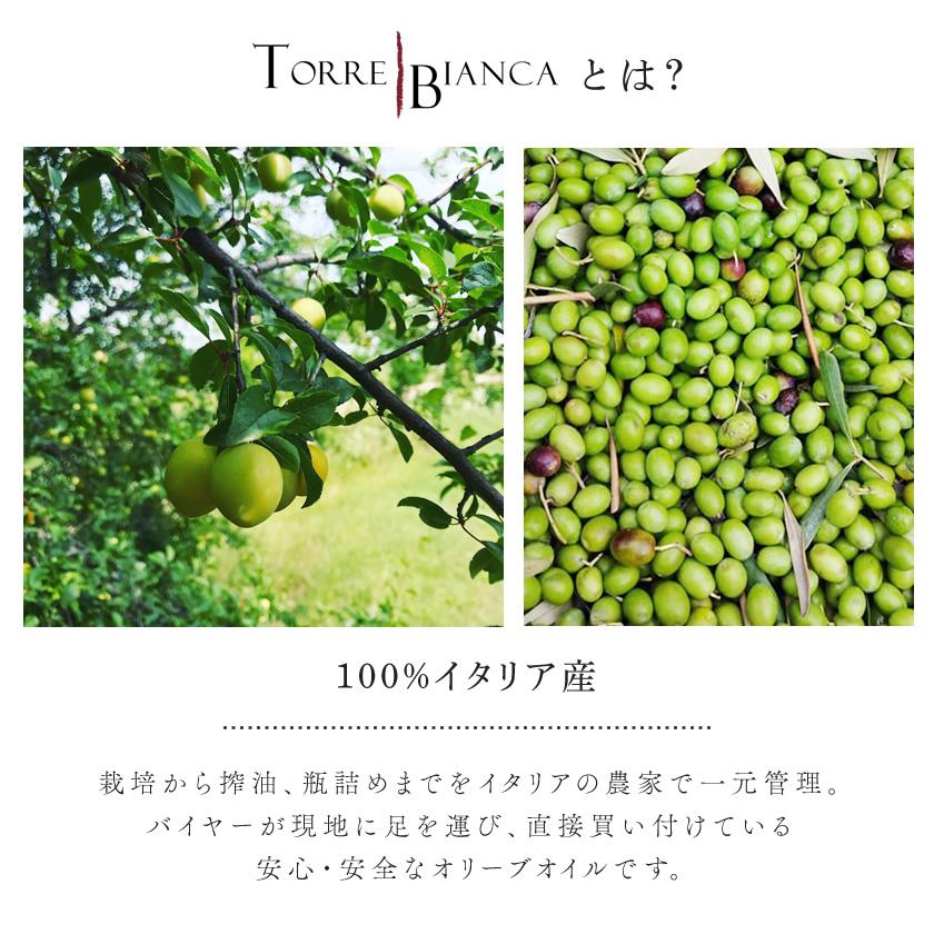 EXVオリーブオイル ギフトセット イタリア産 EUオーガニック認証 オリーブオイル MORAIOLO・モデナ産 バルサミコ酢 SOLE・シチリア産天日塩 : ブランドジュエリー京都 - 通販 ...