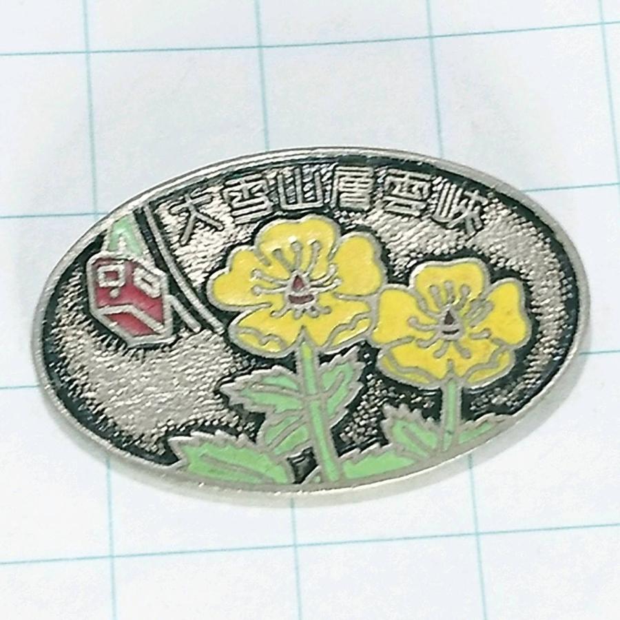 送料無料)大雪山層雲峡 ご当地 観光地 登山 山登り 旅行 記念 山バッジ ピンバッジ PINS ピンズ A22667 : a22667 : ビンテージ ブラックバード - 通販 ...