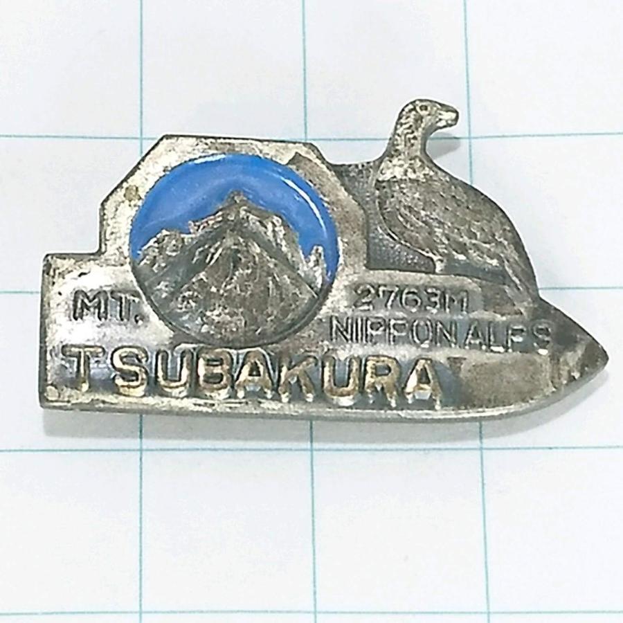 送料無料)燕岳 山登り 観光 旅行 記念 山バッジ ピンバッジ PINS ピンズ A24601 : ビンテージ ブラックバード - 通販 ...