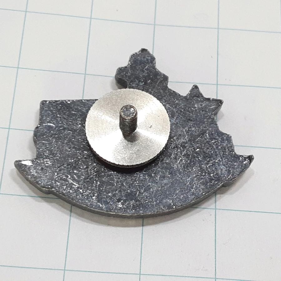 送料無料)五稜郭タワー 観光 登山 旅行 記念 山バッジ ピンバッジ PINS ピンズ A30308 : ビンテージ ブラックバード - 通販 ...