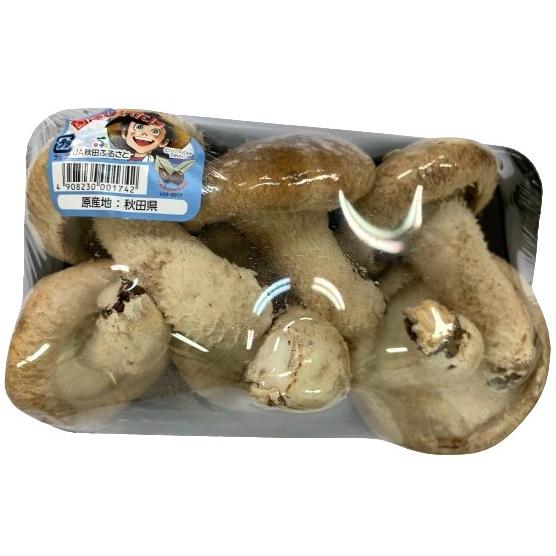 送料無料【朝市場直行】長崎県ほか しいたけ（大サイズ6入）約170〜200g x2個セット【冷蔵】 : ビーライフショップ - 通販 - Yahoo!ショッピング