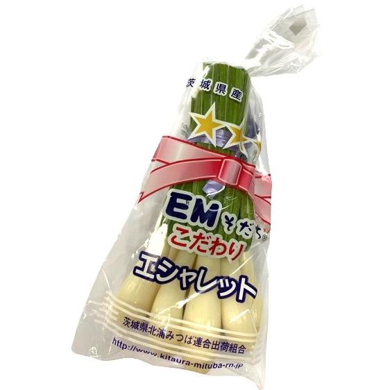 【朝市場直行】静岡県ほか エシャレット 束 約50g〜70g【冷蔵】 : ビーライフショップ - 通販 - Yahoo!ショッピング