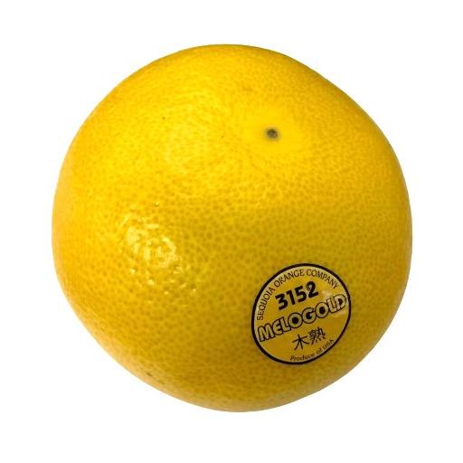 【朝市場直行】アメリカほか メロゴールド 2Lサイズ 1個 約500g〜600g【冷蔵】 : ビーライフショップ - 通販 - Yahoo!ショッピング