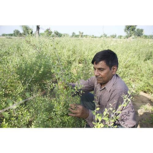 ナイアード 白髪染め ヘナ 木藍 茶系 Naiad 100g : Bloom Gate - 通販 - Yahoo!ショッピング