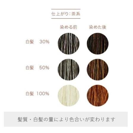 ナイアード ヘナ 木藍 茶系 Naiad 400g : Bloom Gate - 通販 - Yahoo!ショッピング