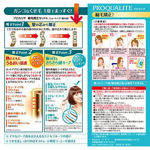 ウテナ プロカリテ 縮毛矯正セット ショート : Bloom Gate - 通販 - Yahoo!ショッピング