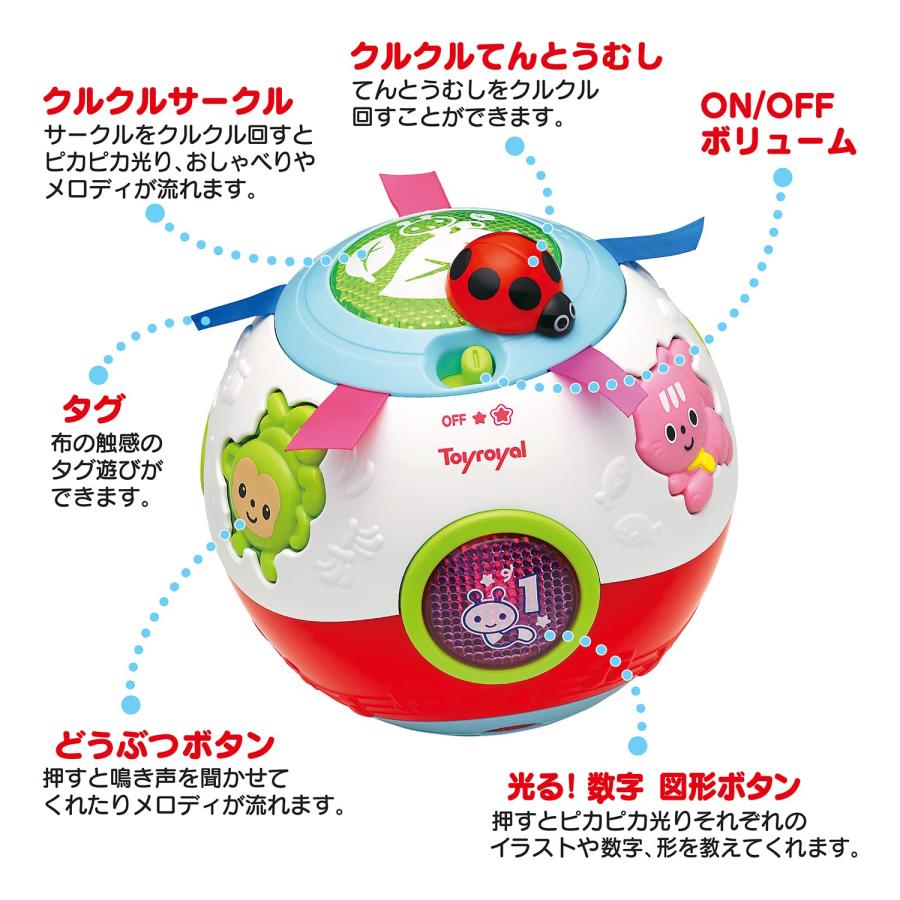 トイローヤル おいかけてコロコロボール ( 知育玩具 / 指先遊び ) ぴかぴか 光る おもちゃ ( 音が出る / おしゃべり ) 音が鳴るおもちゃ : s-b08t1vkghw ...