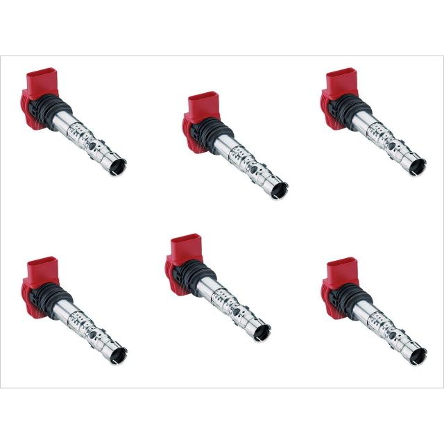 6本セット BREMI 新品 アウディ A4 B6 3.0クワトロ 8EASNF イグニッションコイル 06C905115A ...