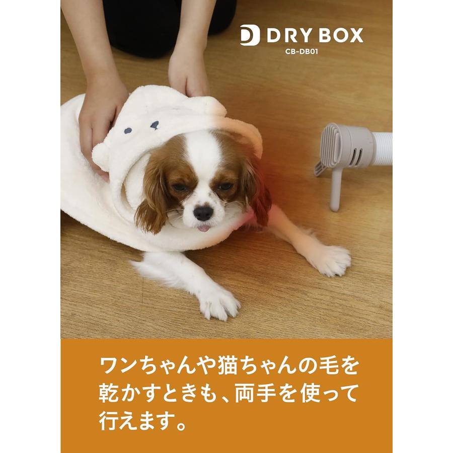 CB JAPAN（シービージャパン） 布団乾燥機 マット不要 くつ乾燥