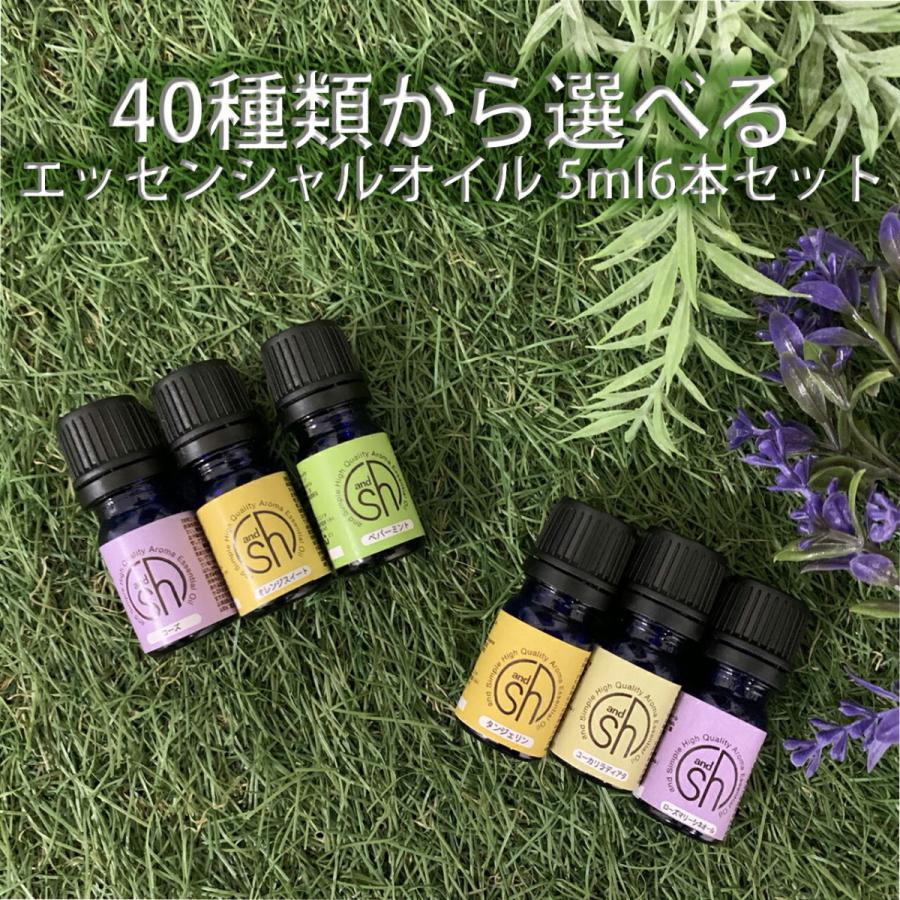 アンドエスエイチ エッセンシャルオイル 精油 セット 5ml×6本 / AEAJ表示基準適合認定精油 アロマ スターター 5 tg_smc +lt3+ : スタイルキューブ - 通販 ...