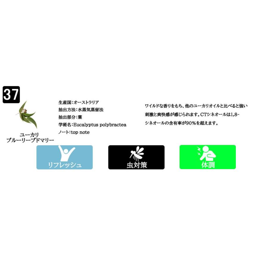 アンドエスエイチ エッセンシャルオイル 精油 セット 5ml×6本 / AEAJ表示基準適合認定精油 アロマ スターター 5 tg_smc +lt3+ : スタイルキューブ - 通販 ...