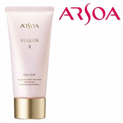 ARSOA アルソア ヌクォルR セルクレイ 100g （パック）- 定形外送料無料 -wp : スタイルキューブ - 通販 - Yahoo!ショッピング