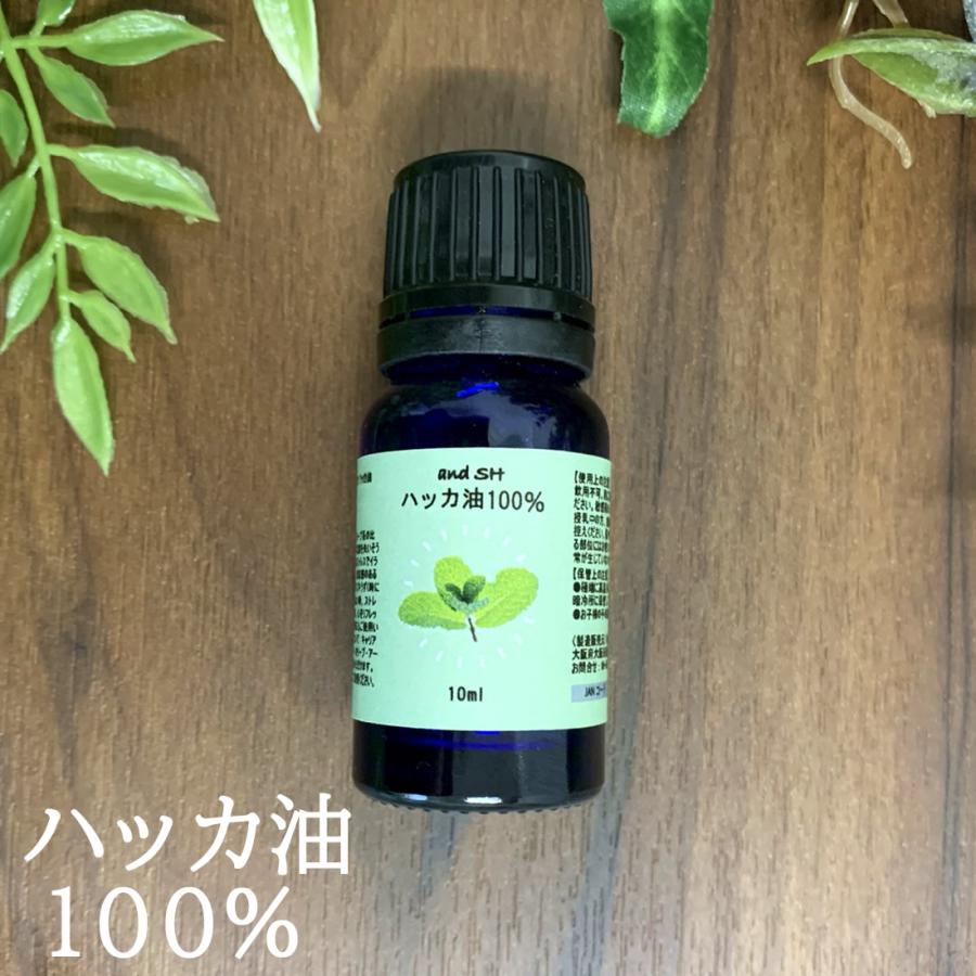 ハッカ油 10ml &sh +lt3+ : e-006081 : スタイルキューブ - 通販 - Yahoo!ショッピング