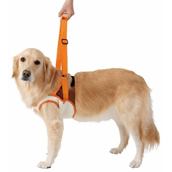 Petio [ペティオ] zuttone ずっとね 老犬介護用 歩行補助ハーネス 前足用K 3L 中国 : BESTWEAR - 通販 - Yahoo!ショッピング