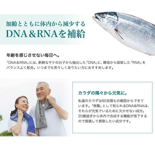 Phiten ファイテン(PHITEN) DNA＆RNA 54g (300mg×180粒) : BLUE NOTE ヤフー店 - 通販 - Yahoo!ショッピング