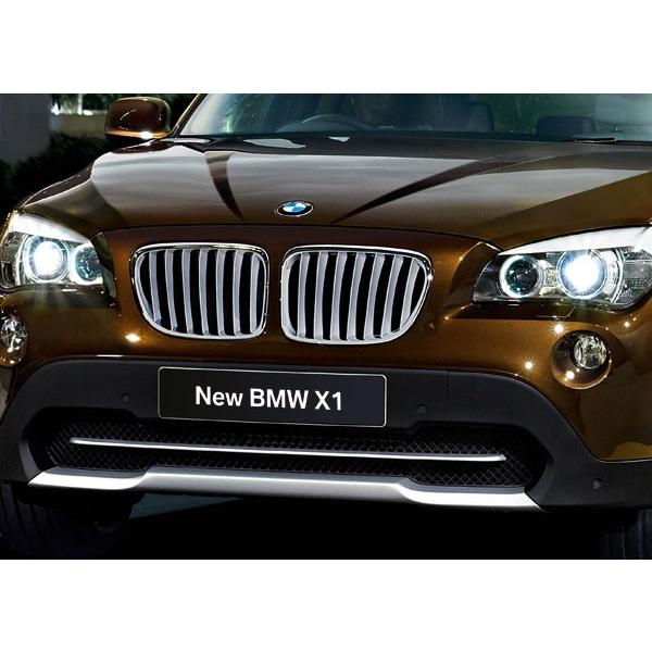 BMW 純正 E84 X1 チタングリル セット 2.5xi仕様 キドニー グリル : BMモーターパーツ - 通販 - Yahoo!ショッピング