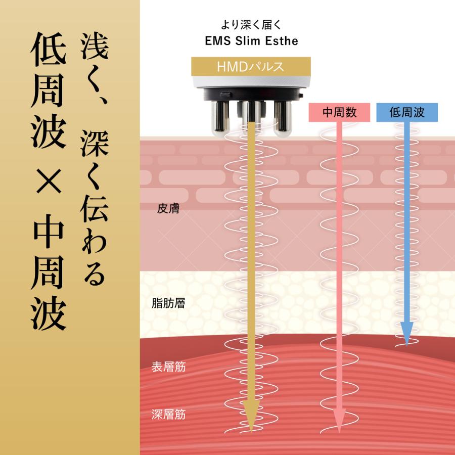 WAVEWAVE スリムエステ EMS 赤色LED Slim Esthe wave016 スリム エステ フェイス ボディ LED LIPO ...