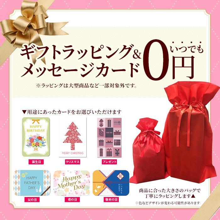 ドクターエア エクサガン ハンディPRO REG-07 :45806573038:ドクターエア代理店 ボディプラス - 通販 - Yahoo!ショッピング