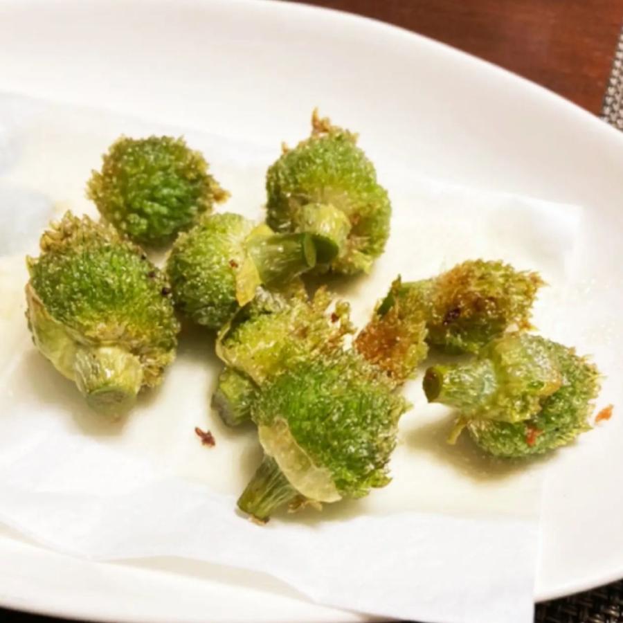 【冷凍】ジャンボにんにくの蕾 60g（30g x 2P） ジャンボ にんにく 初夏 大蒜 超希少 : BOKUZOU Yahoo!店 - 通販 - Yahoo!ショッピング