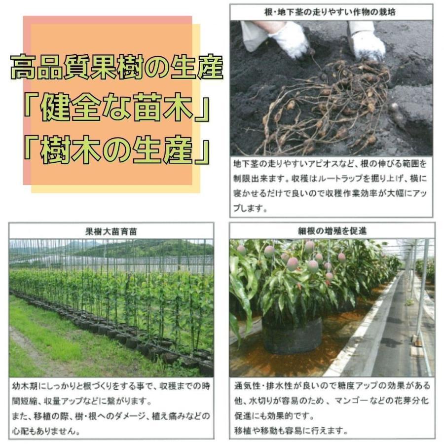 【3枚セット】30A（0.5mm厚）150〜160L ルートラップポット 74cm×42cm 100％ ポリエステル 不織布 果樹栽培 農業 ...