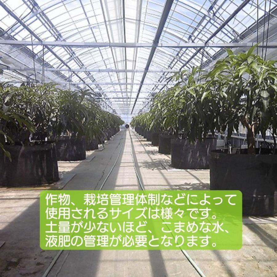 【3枚セット】30A（0.5mm厚）150〜160L ルートラップポット 74cm×42cm 100％ ポリエステル 不織布 果樹栽培 農業 ...