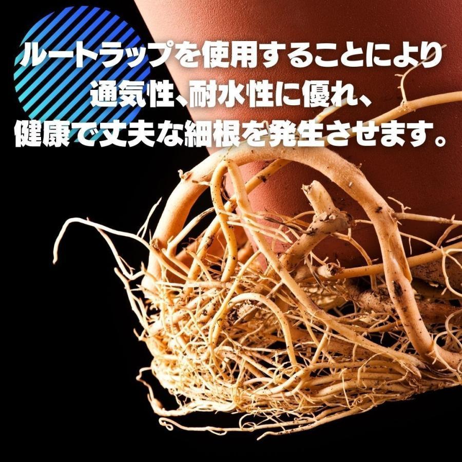 【5枚セット】30A（0.5mm厚）ルートラップポット 150〜160L 74cm×42cm 100％ ポリエステル 不織布 果樹栽培 農業 ...