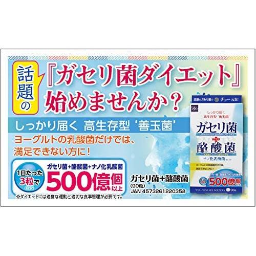 2個セット ガセリ菌+酪酸菌 90粒 :y-gaseri02:美容と健康のアクティブライフ - 通販 - Yahoo!ショッピング