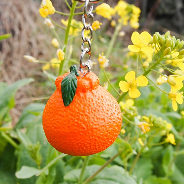 JEJU HANLLABONG Keyring ハラボンキーホルダー 韓国 済州道 済州島 お土産 記念品 : インテリア雑貨店-i.n ...