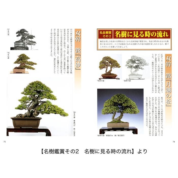 書籍 本 盆栽専門誌「五葉松の育て方」ゴヨウマツ 手入れ 管理 切り方 曲げ方 植え替え 剪定 水やり 消毒など作業がよく分かる 盆栽彩都