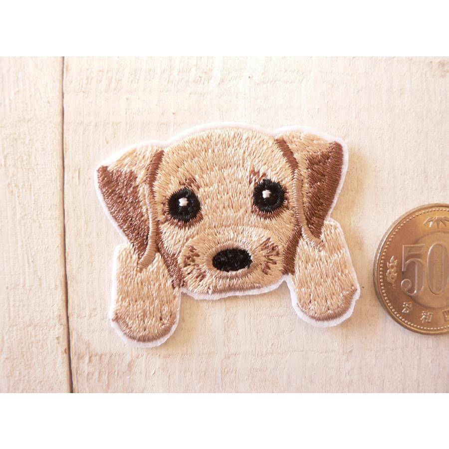 ワッペン ラブラドール 子犬 犬 わんちゃん アイロンワッペン 手芸 #1406 : ブーブーハウス Yahoo!店 - 通販 - Yahoo!ショッピング