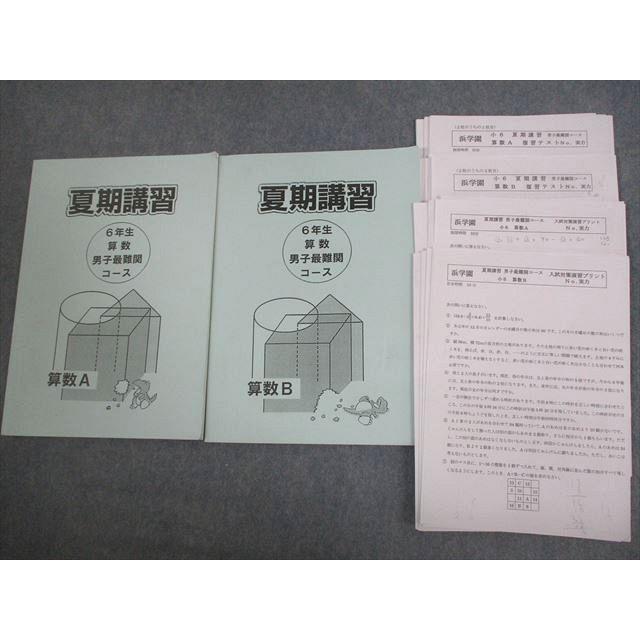 VK11-085 浜学園 小6 男子最難関コース 算数A/B 夏期講習/テスト15回分付 2022 計2冊 023S2D : vk11-085 : ブックスドリーム 学参ストア2号店 - 通販 ...