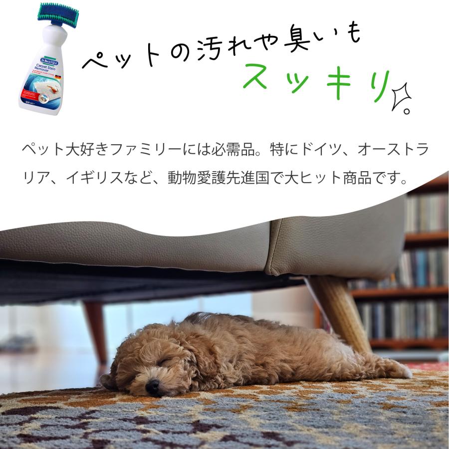 Dr. Beckmann(ドクター ベックマン) カーペットステインリムーバー 650ml 3個セット シミ取り剤 シミ消し 染み抜き しみとり ソファ ペット 汚れ 洗剤 ...