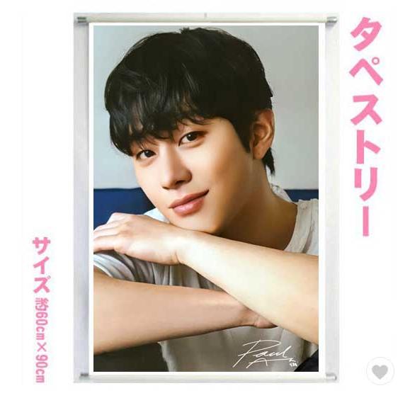 送料無料★アン・ヒョソプ アンヒョソプ AhnHyoSeop タペストリー 韓流グッズ tape4-1023-4 : バウンスショップ - 通販 - Yahoo!ショッピング