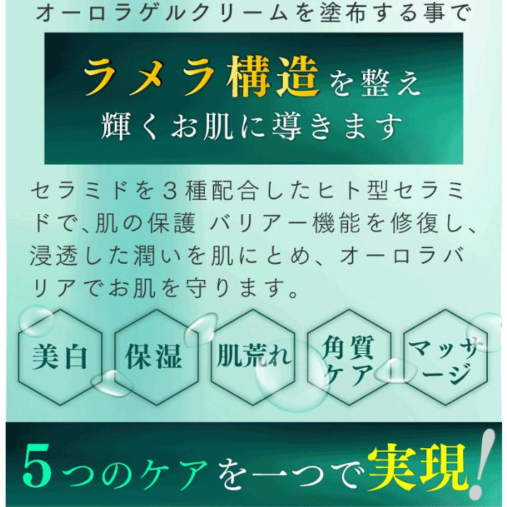 エメラポ オーロラゲルクリーム 80g 乾燥 肌バリア スキンケア 高保湿 送料無料 : Dr.Secret - 通販 - Yahoo!ショッピング