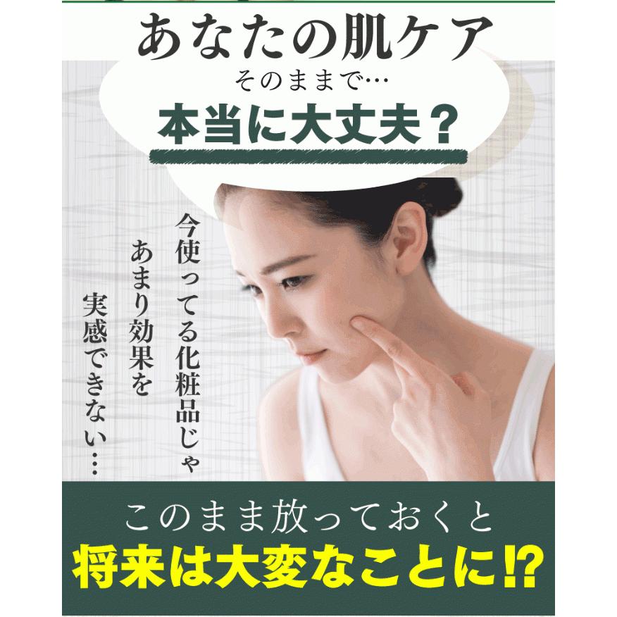 エメラポ オーロラゲルクリーム 80g 乾燥 肌バリア スキンケア 高保湿 送料無料 : Dr.Secret - 通販 - Yahoo!ショッピング