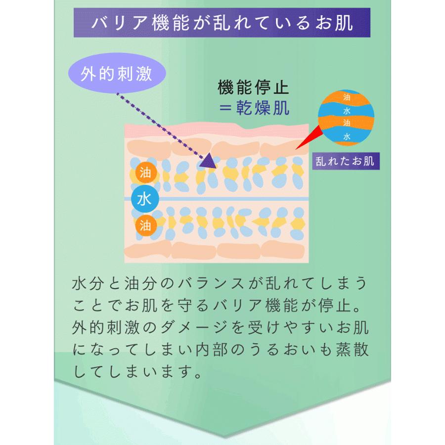 エメラポ オーロラゲルクリーム 80g 乾燥 肌バリア スキンケア 高保湿 送料無料 : Dr.Secret - 通販 - Yahoo!ショッピング