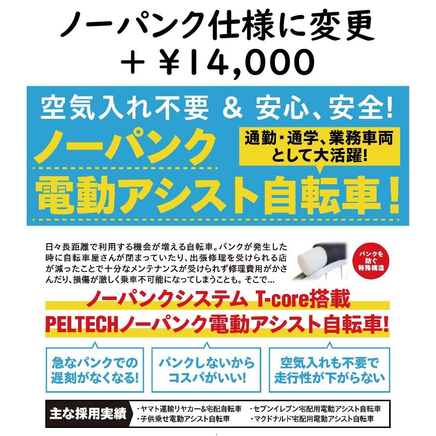 PELTECH 電動アシスト自転車 20インチ 折りたたみ自転車 電動自転車 シマノ外装6段変速 ペルテック TDN-206 : BPストア Yahoo!店 - 通販 - Yahoo!ショッピング