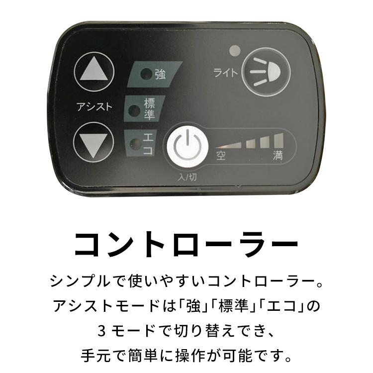 PELTECH 電動アシスト自転車 アルミ 20インチ 折りたたみ 電動自転車 シマノ 外装 6段変速 ペルテック TDN-212L : BPストア Yahoo!店 - 通販 - Yahoo ...