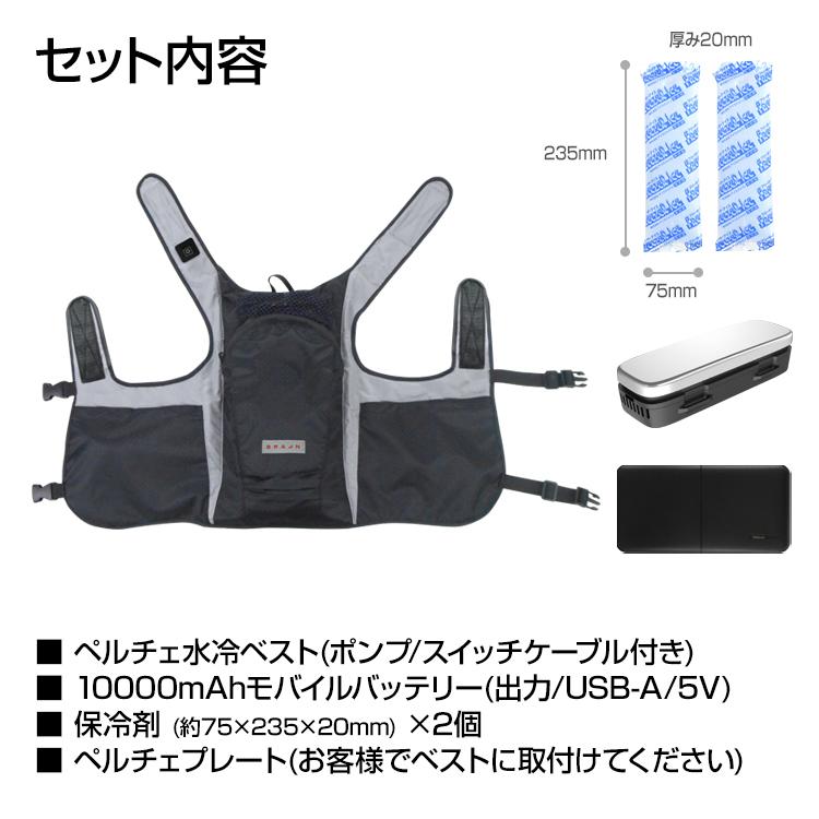 【2024年モデル新発売】【BR-871レギュラー】送料無料(一部地域除く) ブレイン ペルチェ水冷服ベスト (フルセット バッテリー付)(レギュラーサイズ) : 天晴天国 - 通販 ...