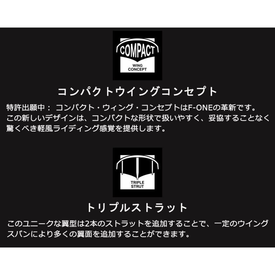 F-ONE エフワン STRIKE V3 CWC 9.0平米 ストライクブイ3 シーダブルシー サーフウイング カイトウイング ウイング ...