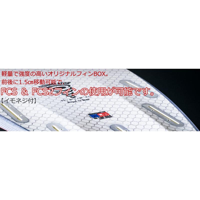 LIB TECH LOST LIBTECH ROUND NOSE FISH REDUX / ロスト リブテック ラウンドノーズ フィッシュ リ ...