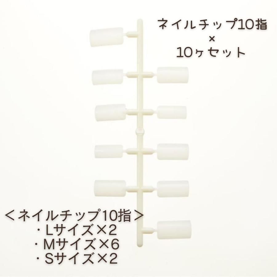 全国送料無料 郵便受け配達 JNEC認定 滝川 STモデルハンド専用 ネイルチップ 10指 10セット ネイリスト技能検定試験 :240308-9m:ブライト Yahoo!店 - 通販 ...