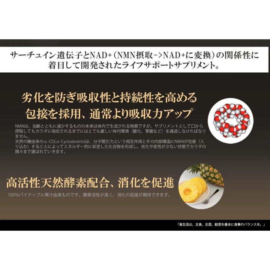 NMN DDS 9000 12個セット : ブリジアンストア - 通販 - Yahoo!ショッピング