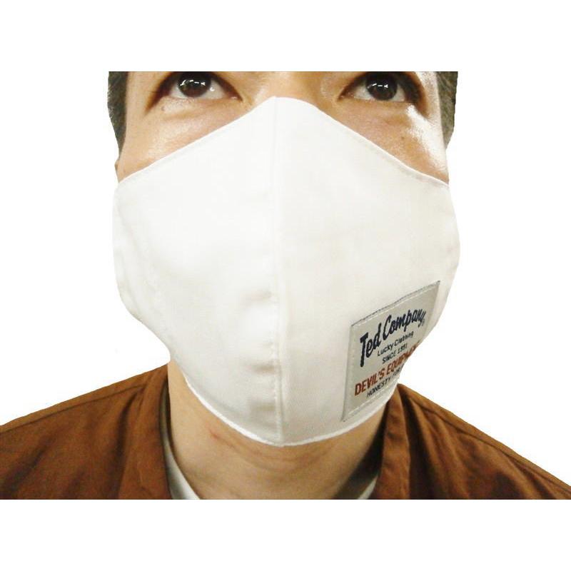 TEDMAN（テッドマン） フェイスマスク 布マスク(立体型)2枚セット TED-MASK 三層構造 マスク紐・調整可能 洗濯可 ホワイト ...