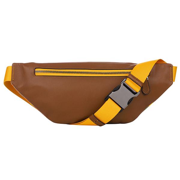 コーチ ウエストバッグ ボディバッグ COACH レインボー シグネチャー C9847 QBE7V : gco02c9847qbe7v ...